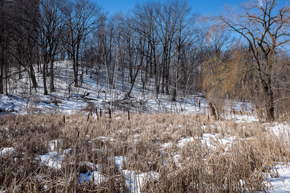 Don Valley Urban Hike | Peter Lam Photography
