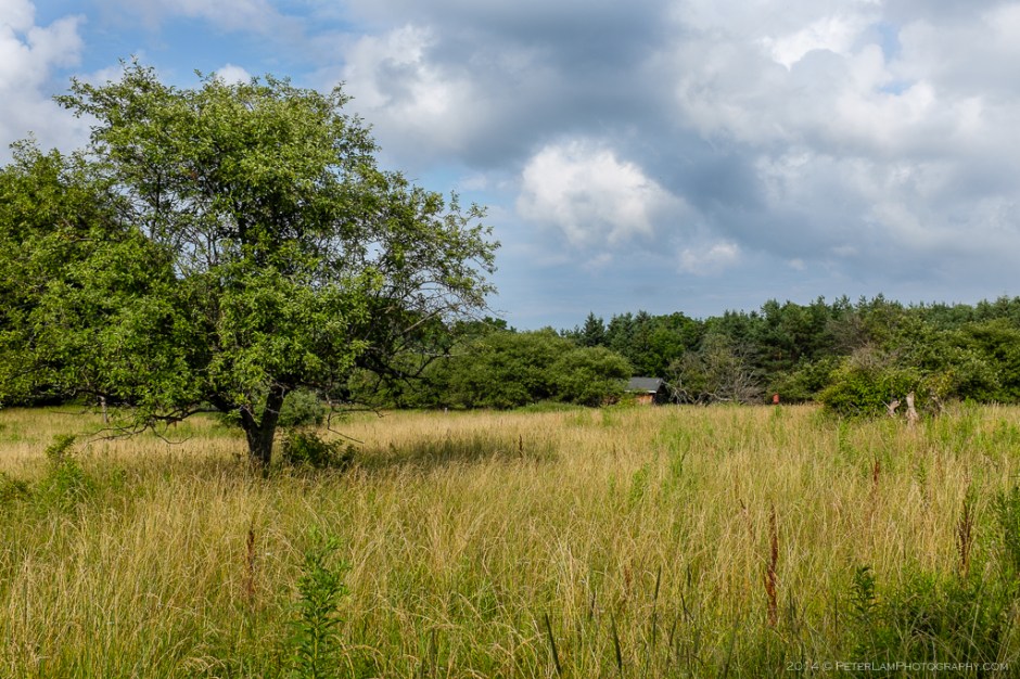 Dundas Valley | Peter Lam Photography