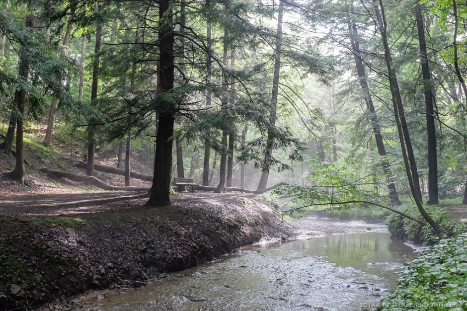 Dundas Valley | Peter Lam Photography