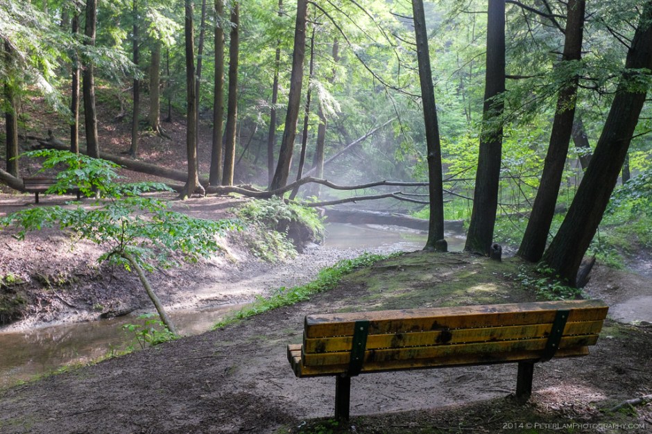 Dundas Valley | Peter Lam Photography