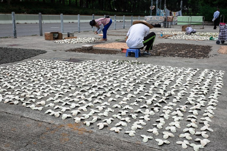 The Tung O Ancient Trail | Peter Lam Photography