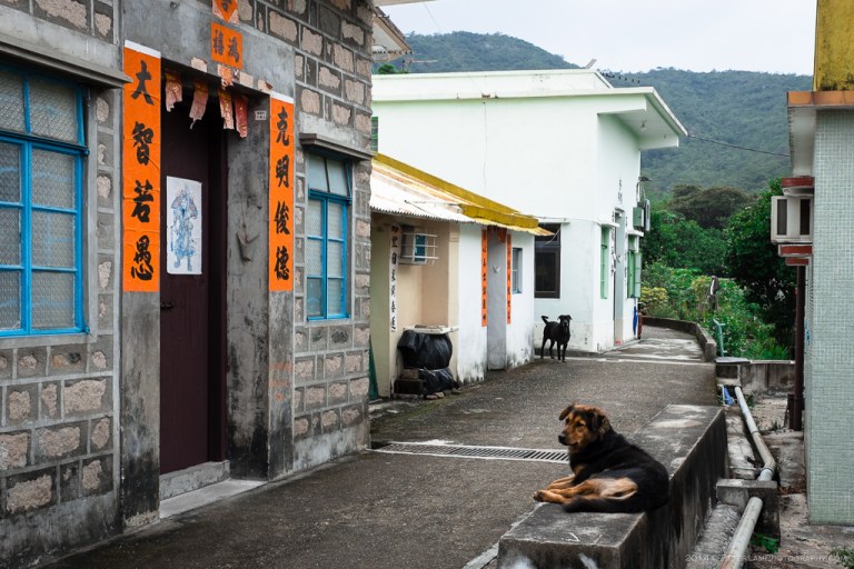 The Tung O Ancient Trail | Peter Lam Photography