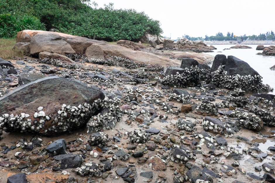 The Tung O Ancient Trail | Peter Lam Photography