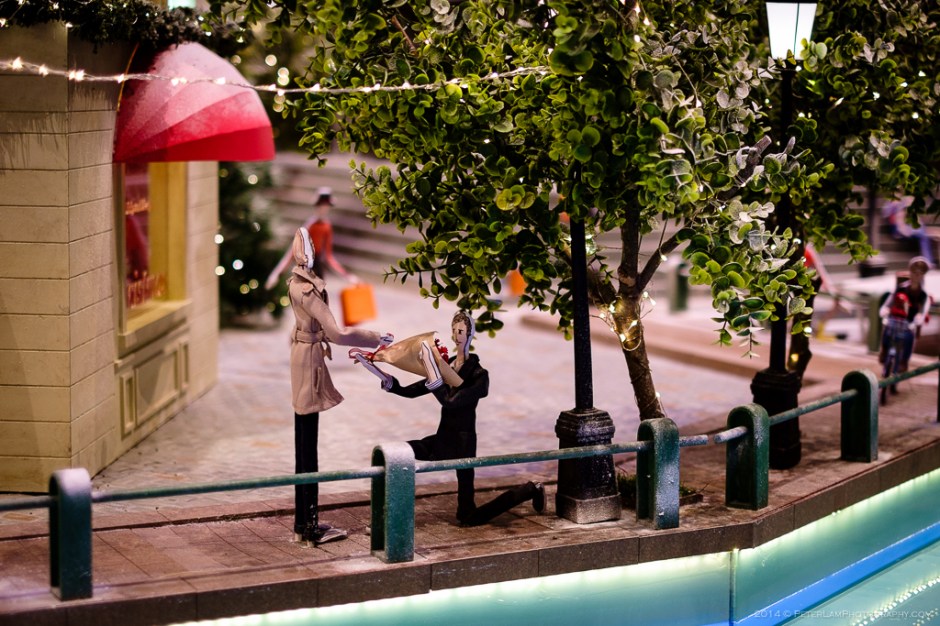 A Landmark Celebration | Peter Lam Photography