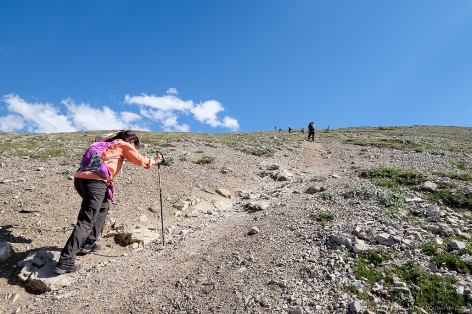 The Sulphur Skyline Ridge | Peter Lam Photography