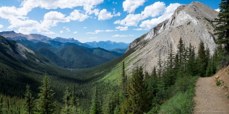 The Sulphur Skyline Ridge | Peter Lam Photography