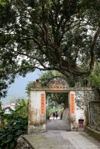 Lo Fu Tau: Tiger’s Head, Revisited | Peter Lam Photography