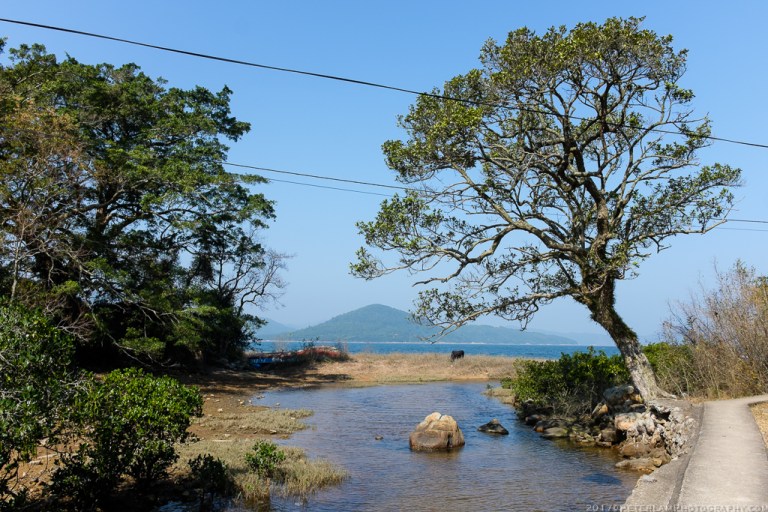 Sharp Peak: The North Ridge | Peter Lam Photography