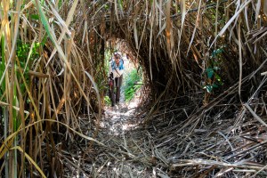 Sharp Peak: The North Ridge | Peter Lam Photography