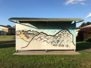 Sheffield: Town of Murals | Peter Lam Photography