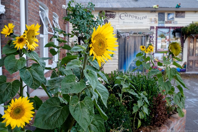 Sheffield: Town of Murals | Peter Lam Photography