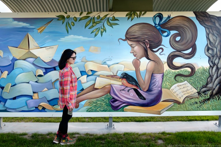 Sheffield: Town of Murals | Peter Lam Photography