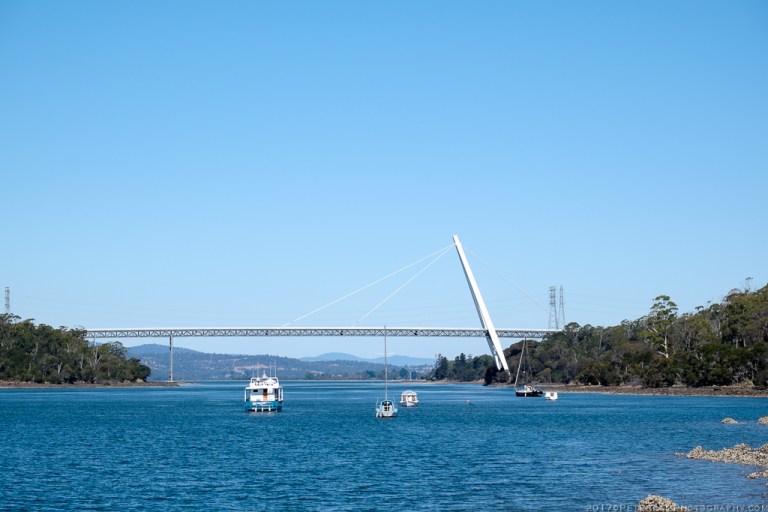 Exploring Tamar Valley | Peter Lam Photography
